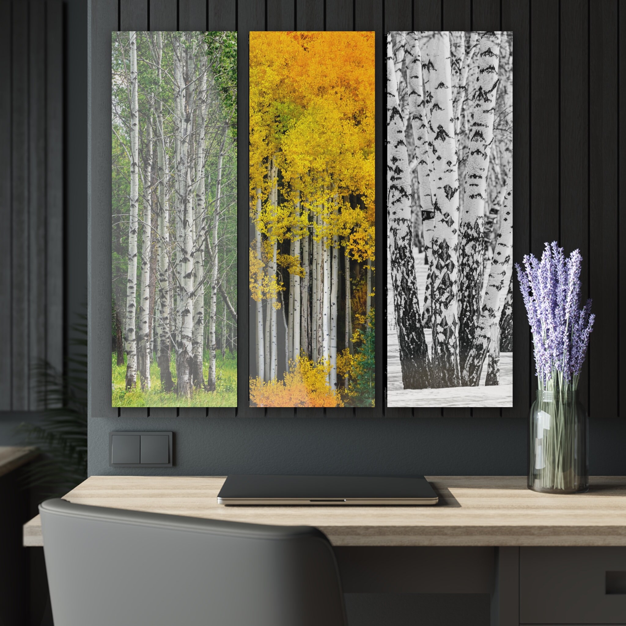 Colorado Aspens, Mountain Aspen Colors, Colorado Aspen Acrylic Prints ...
