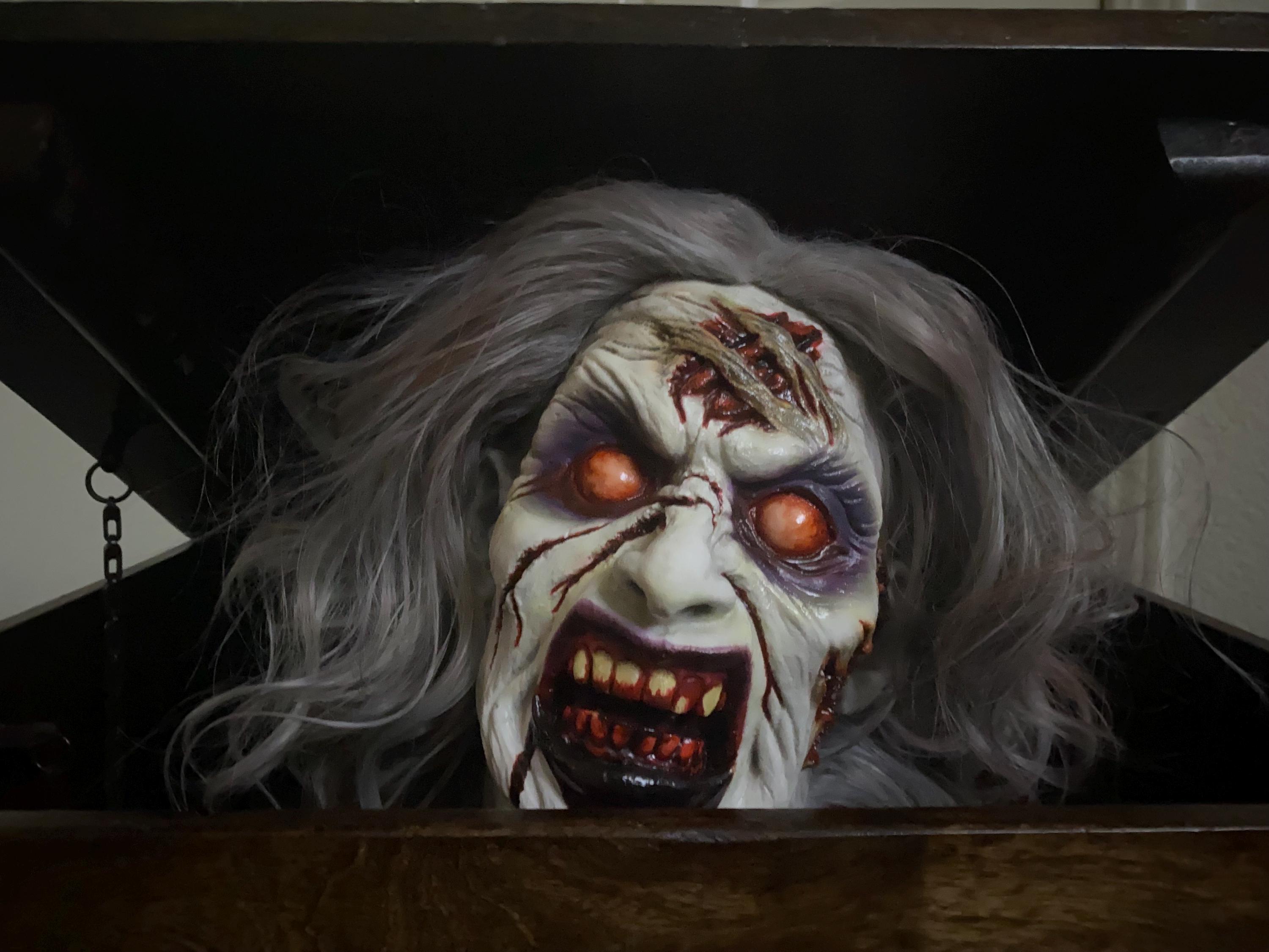 Evil Dead Cheryl Deadite ( Wall Hanging) Grey Hair - Etsy