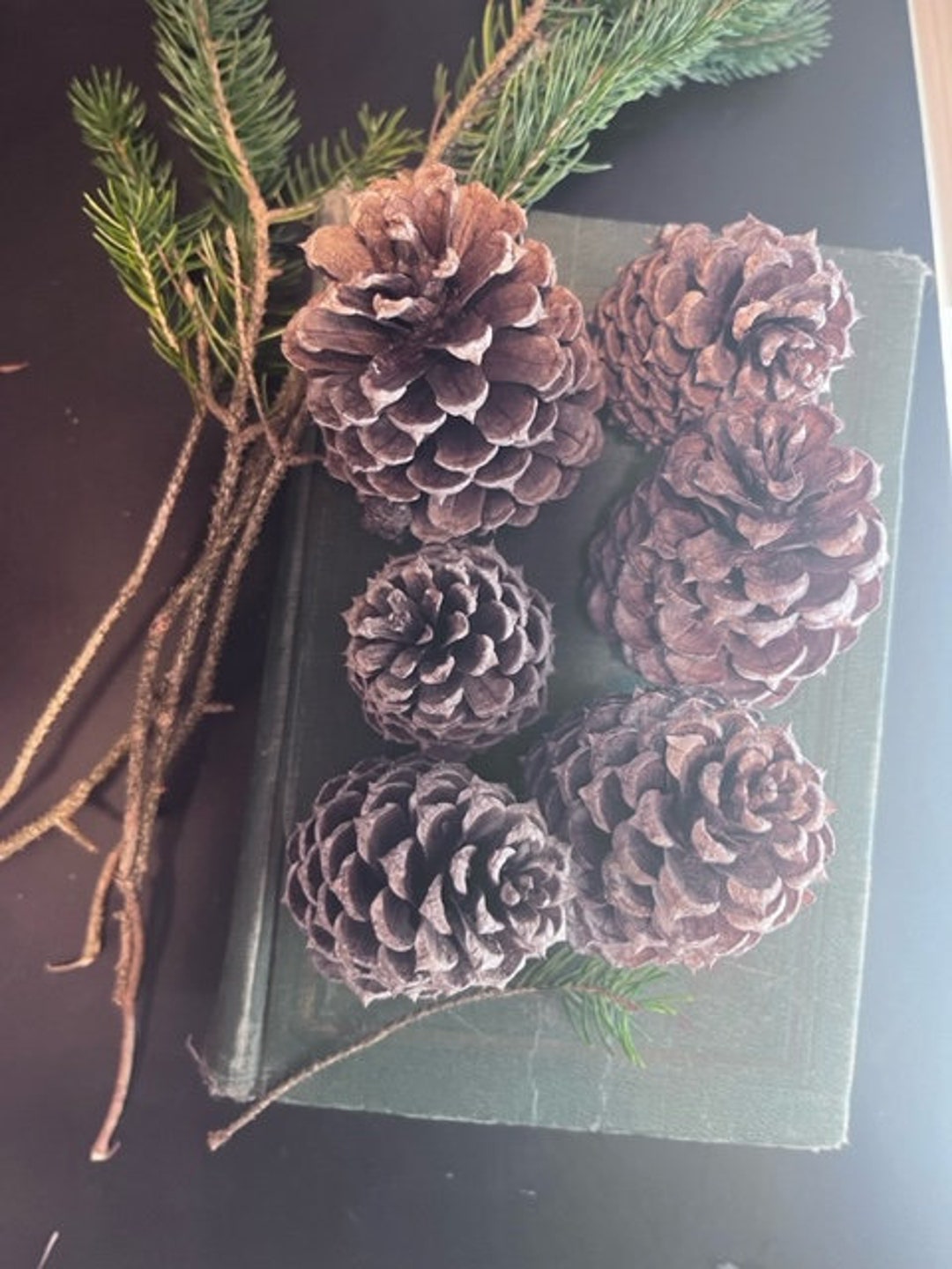 Pine Cones Ponderosa Pine Size Small-medium, Cones From Christmas Trees ...