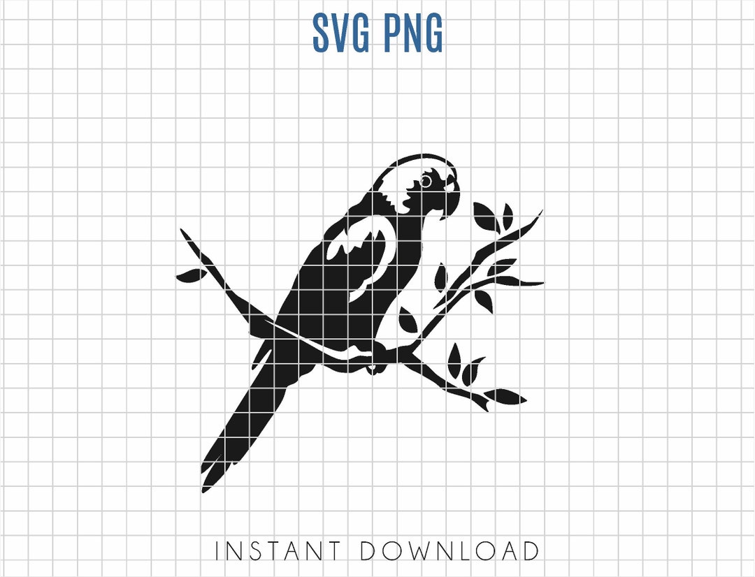 Parrot SVG, Budgies Parrot, Easy to Cut Cockatiels, Commercial Use ...