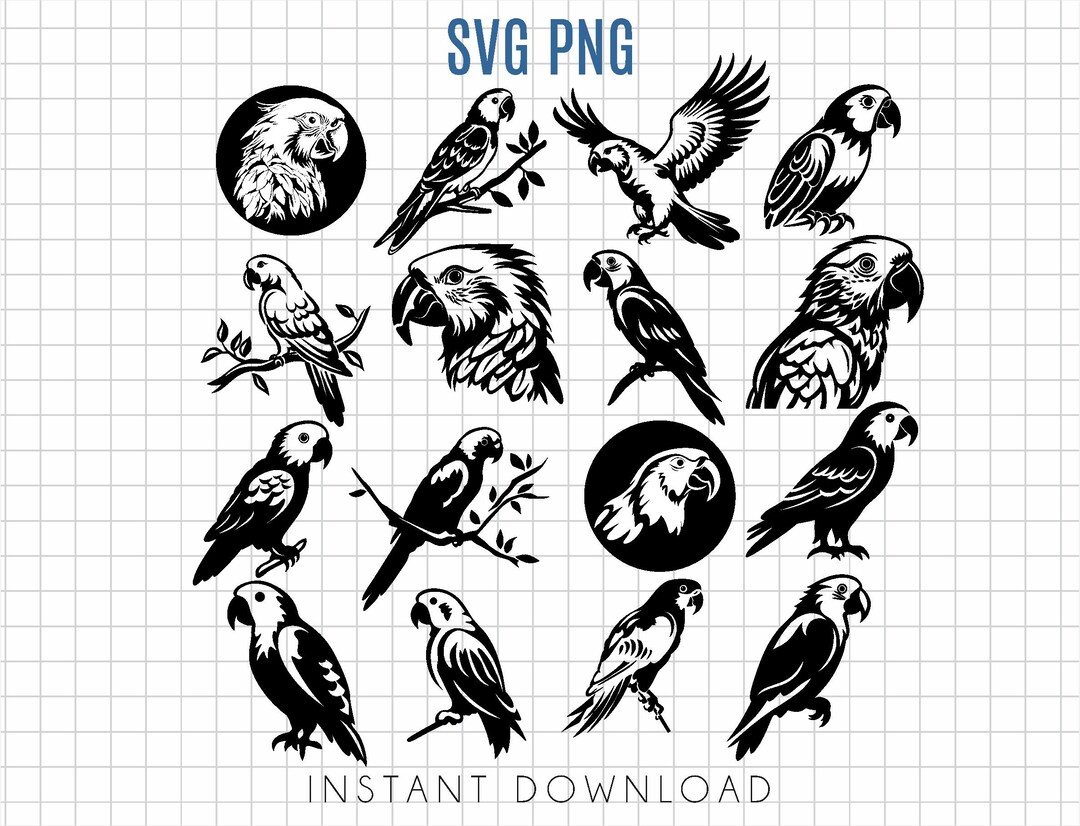 Parrots SVG Bundle, Budgies Parrot, Easy to Cut Cockatiels, Commercial ...