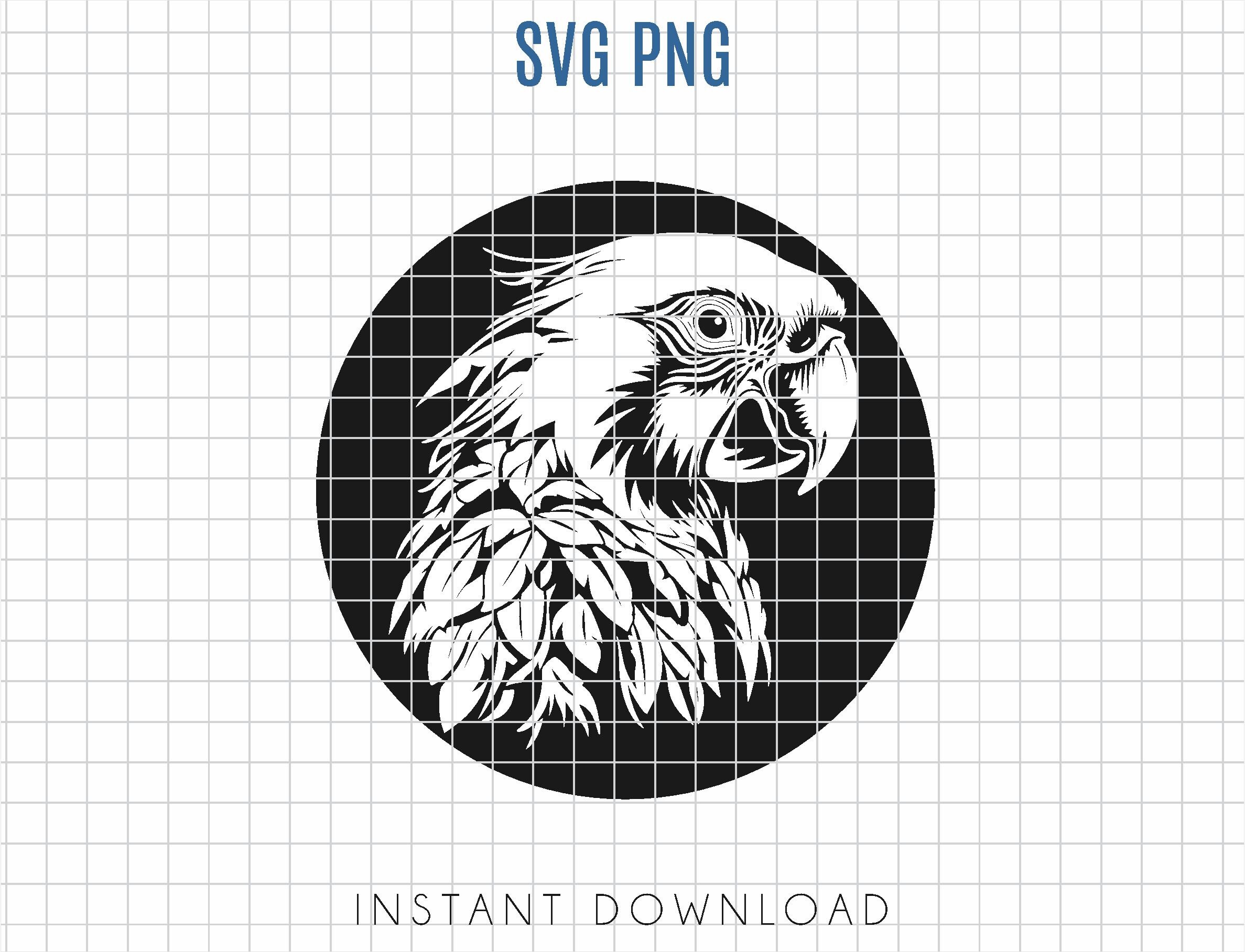 Parrot SVG, Budgies Parrot, Easy to Cut Cockatiels, Commercial Use ...