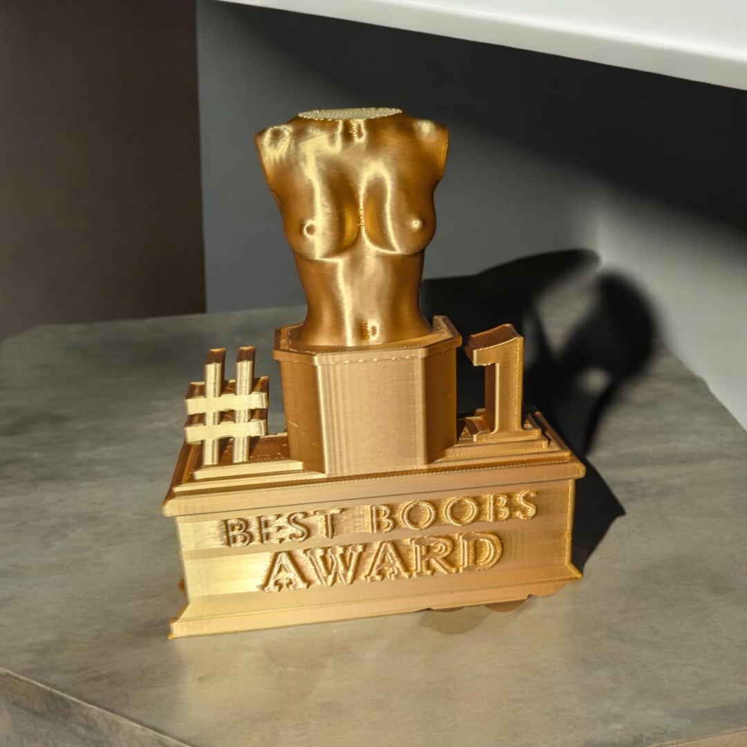 Best Boobs Award 3d Print - Etsy