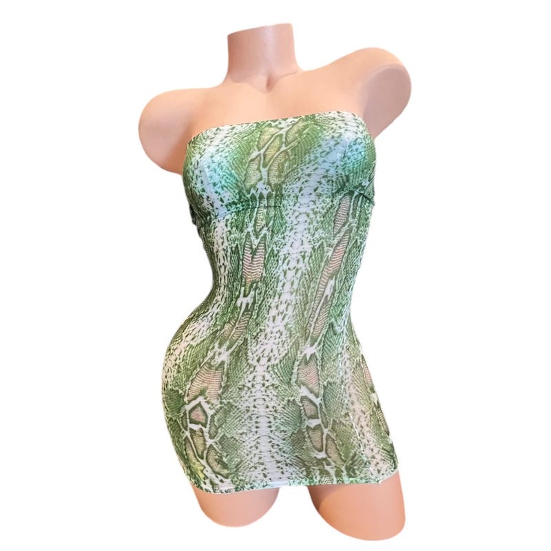 Sheer Micro Mini Dress - Etsy