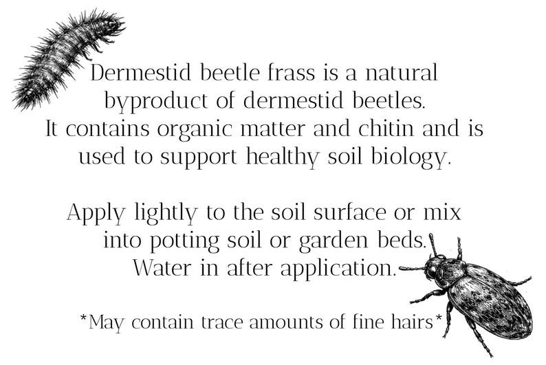 Dermestid Beetle Frass – Finely Sifted Organic Soil Amendment – Chitin ...