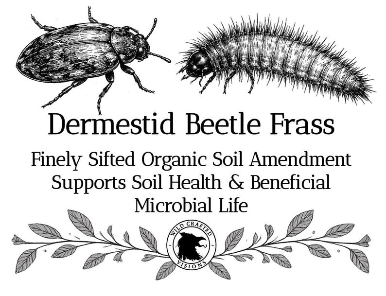 Dermestid Beetle Frass – Finely Sifted Organic Soil Amendment – Chitin ...