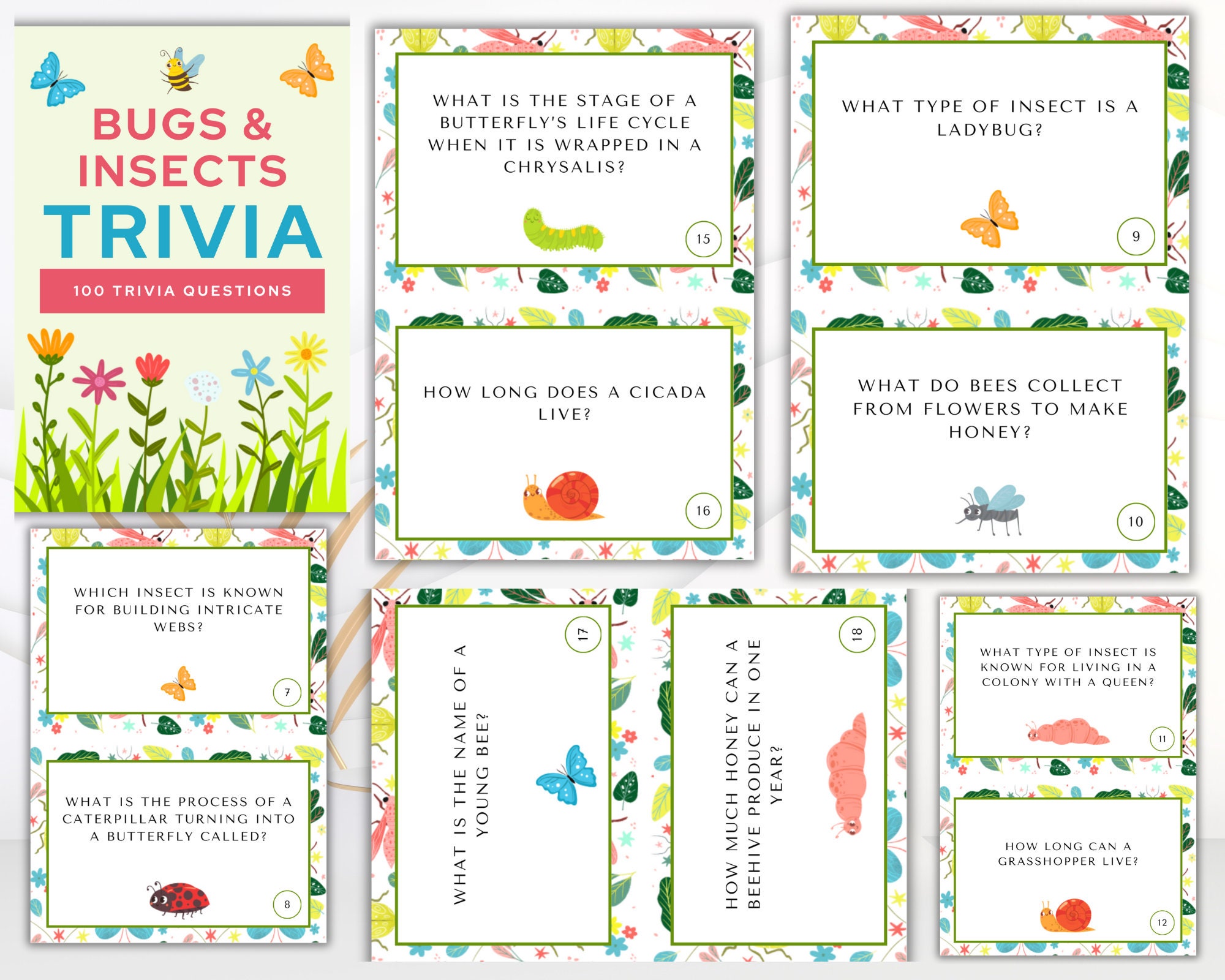 BUG and INSECT TRIVIA Card for Kids Insect Theme Trivia Cards Set ...