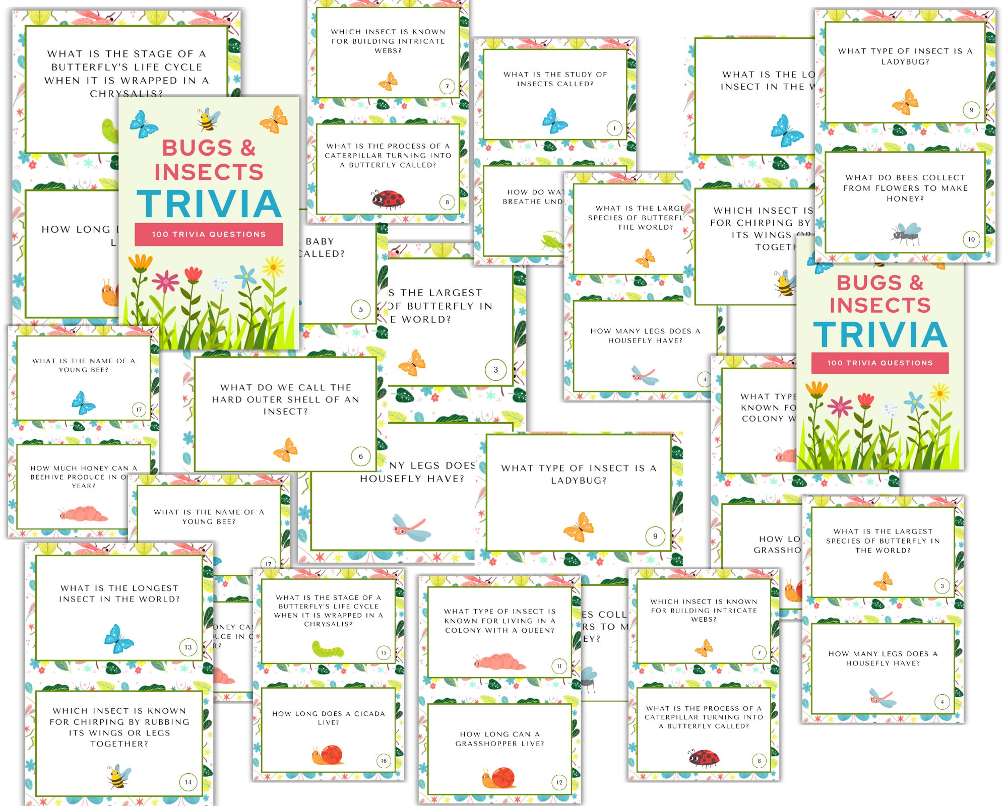 BUG and INSECT TRIVIA Card for Kids Insect Theme Trivia Cards Set ...