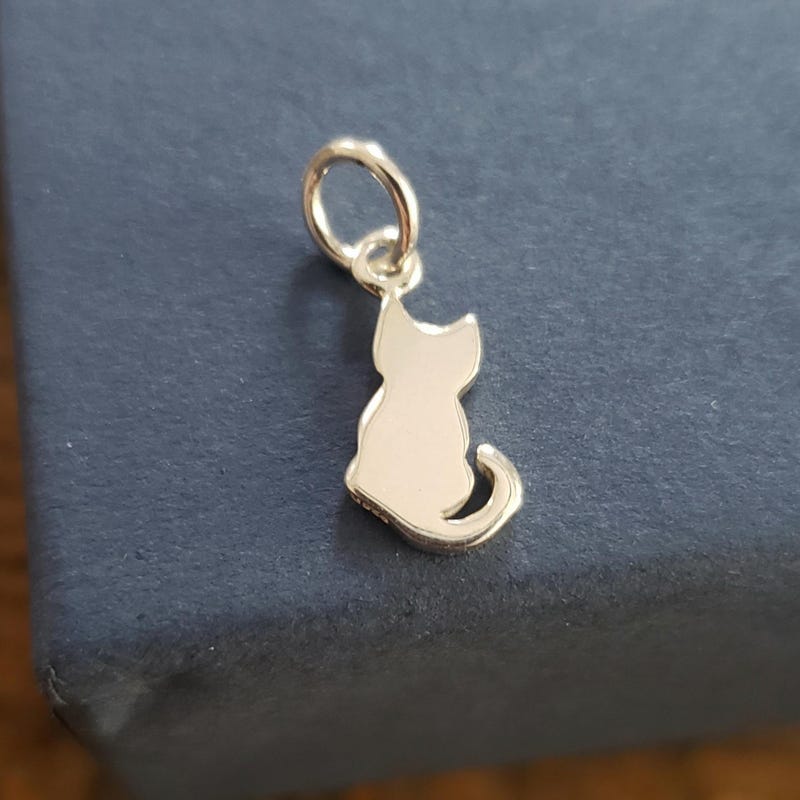 Custom Cat Gem Necklace - Etsy