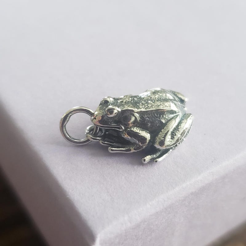 Sterling Silver Frog Charm - Etsy