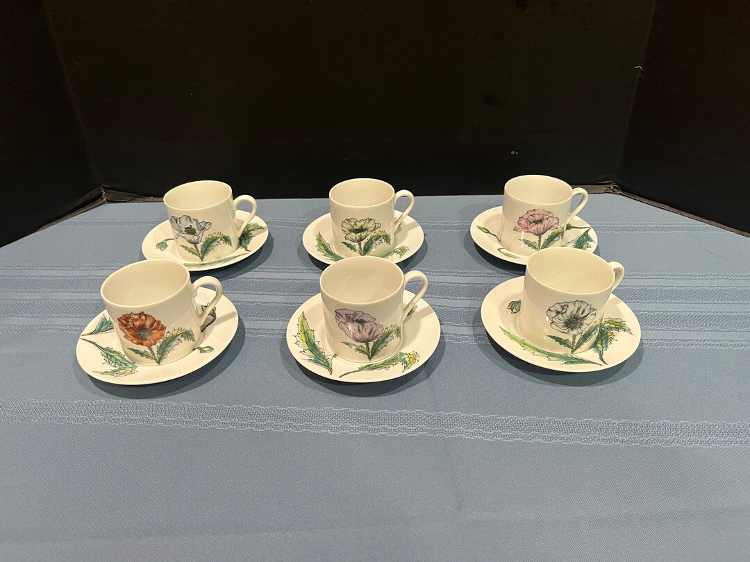 Vintage Taste Setter Porcelain Floral 6 Tea Cups and Saucers ...