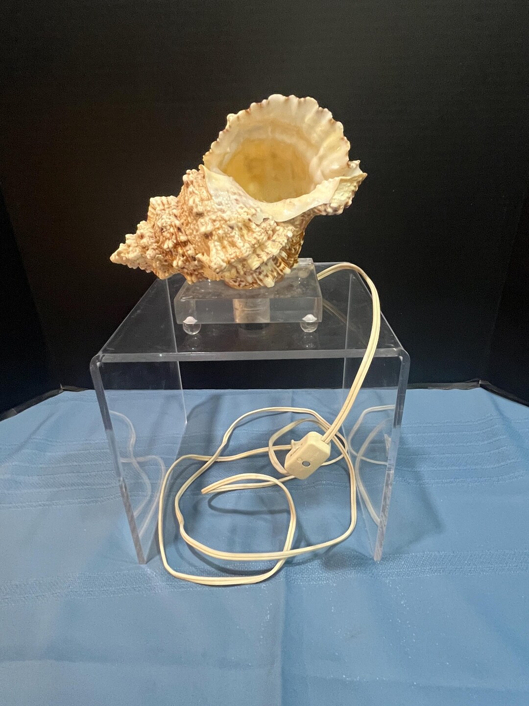 Vintage Large Conch Shell Nightlight on Footed Lucite Base - Works ...
