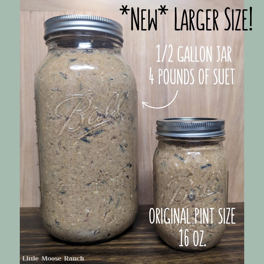 Spreadable Suet for Bird Feeding - NEW Size! - Homemade Fresh to Order ...