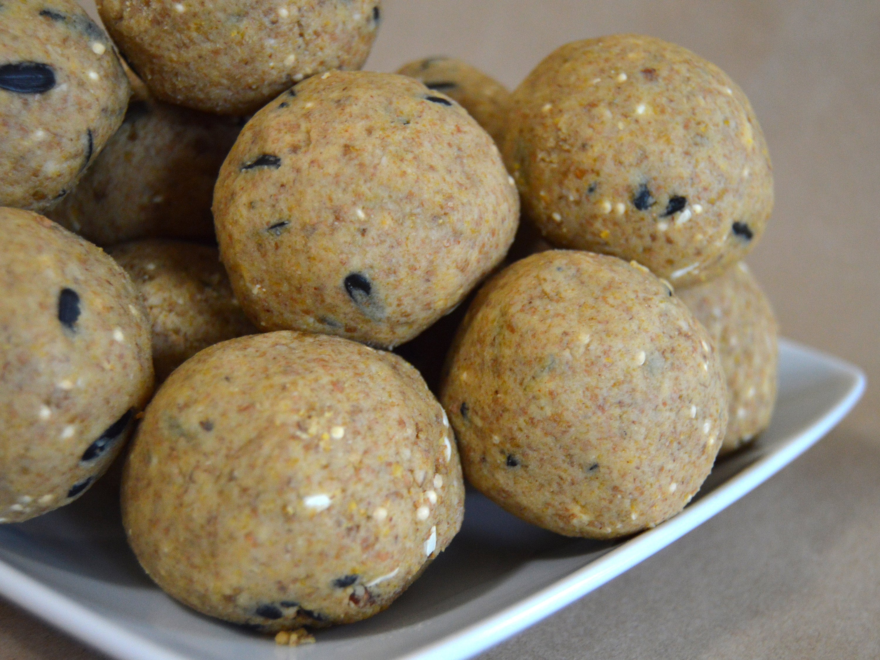 Bird Suet Balls A Fun and Unique Way to Feed the Birds Perfect ...