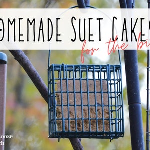 Bird Suet Cakes - Homemade Bird Suet Blocks for Wild Bird Feeding ...