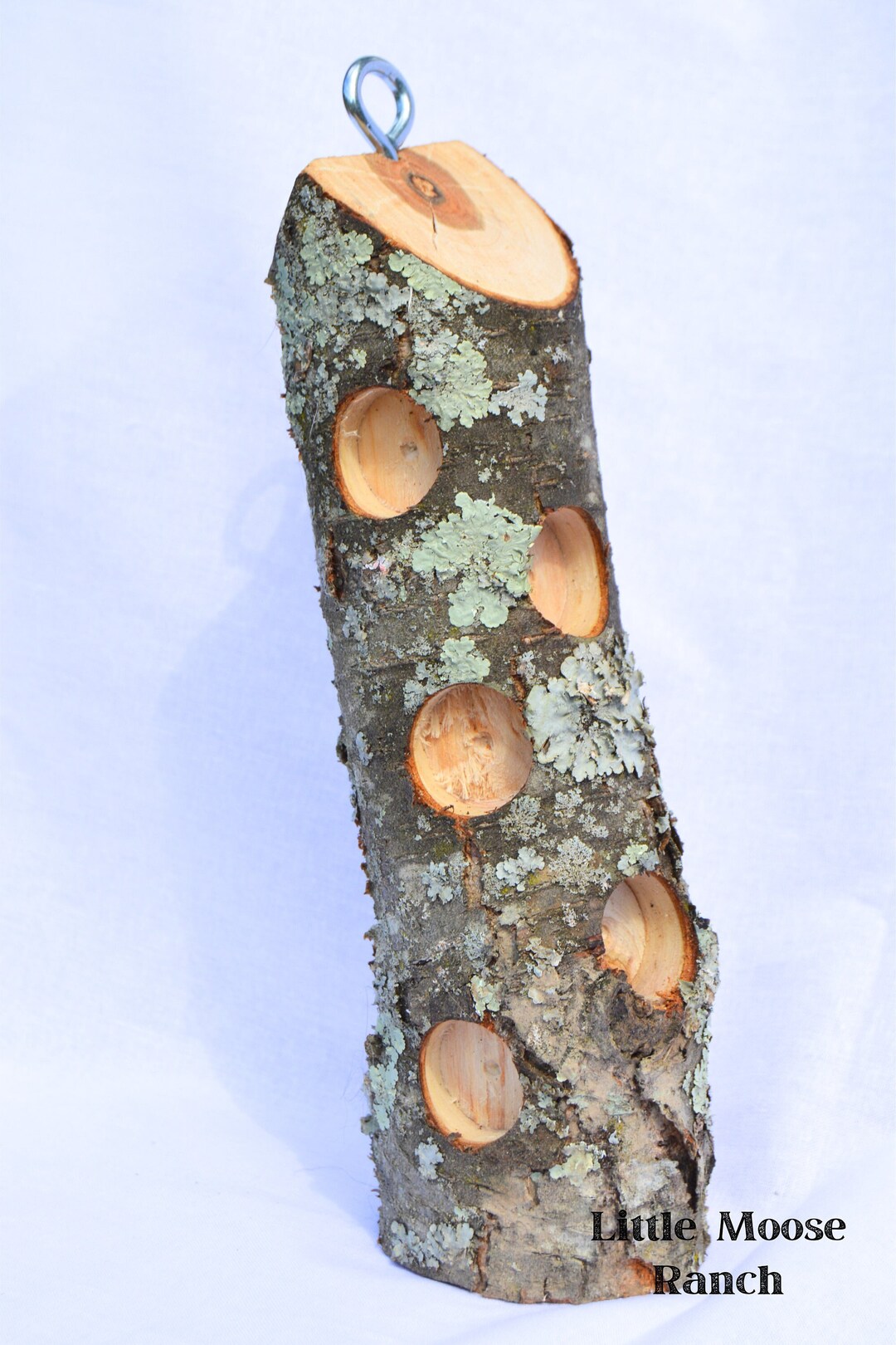 Hanging Spreadable Suet Bird Feeder Handmade Wood Log Bird - Etsy