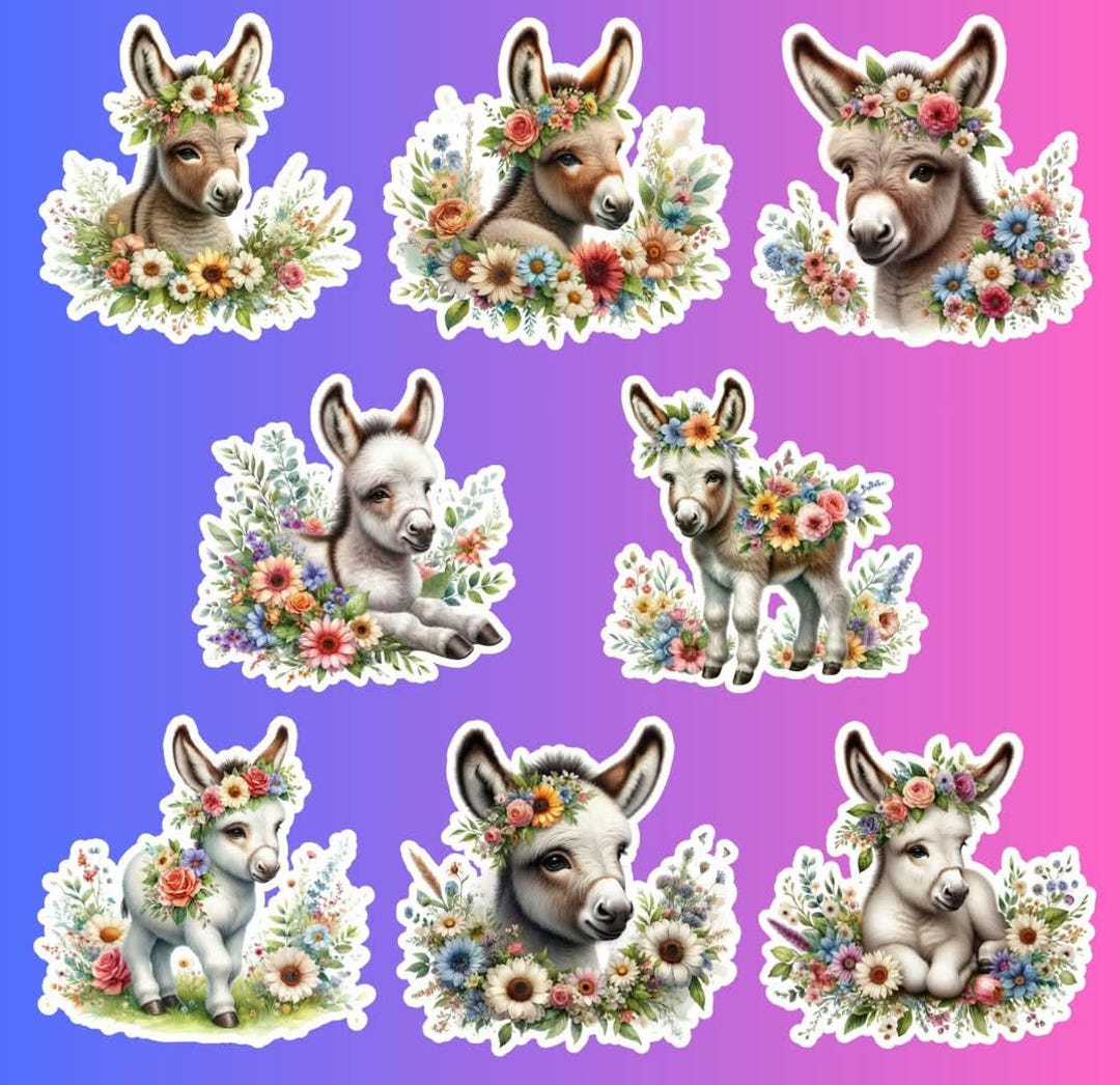 Donkeys - Sticker Set - Etsy