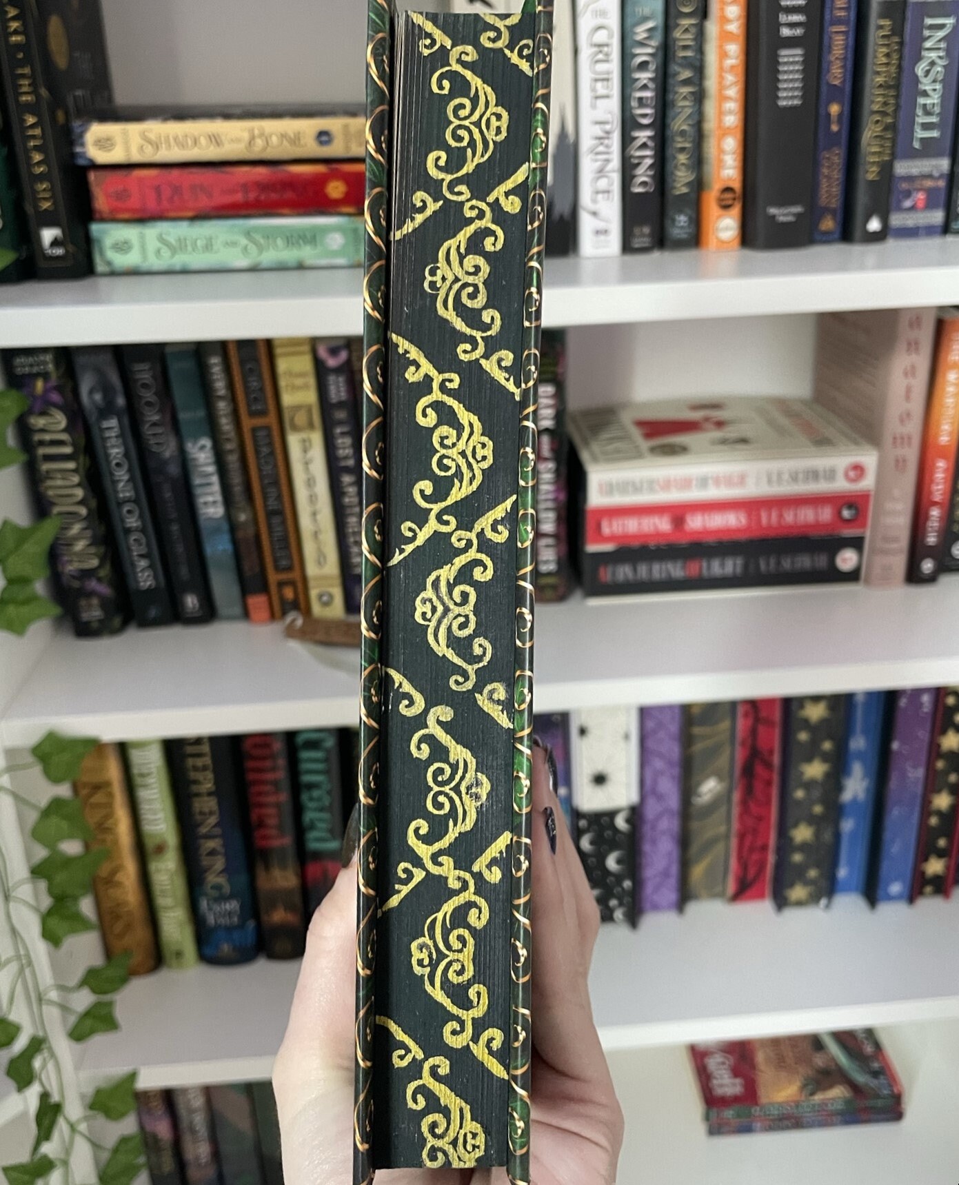 The Gilded Wolves Sprayed and Stenciled Edges - Etsy