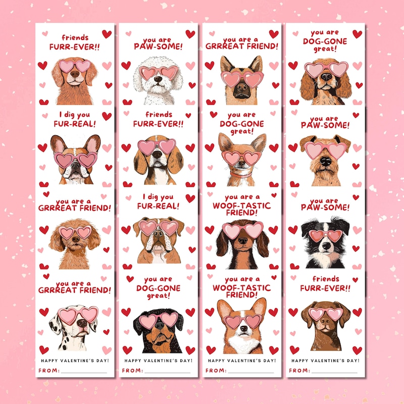 Valentines Gifts for a Dog - 60+ Gift Ideas for 2026