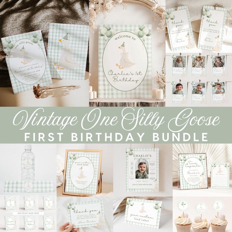 One Silly Goose First Birthday Bundle, Vintage Gender Neutral Goose ...