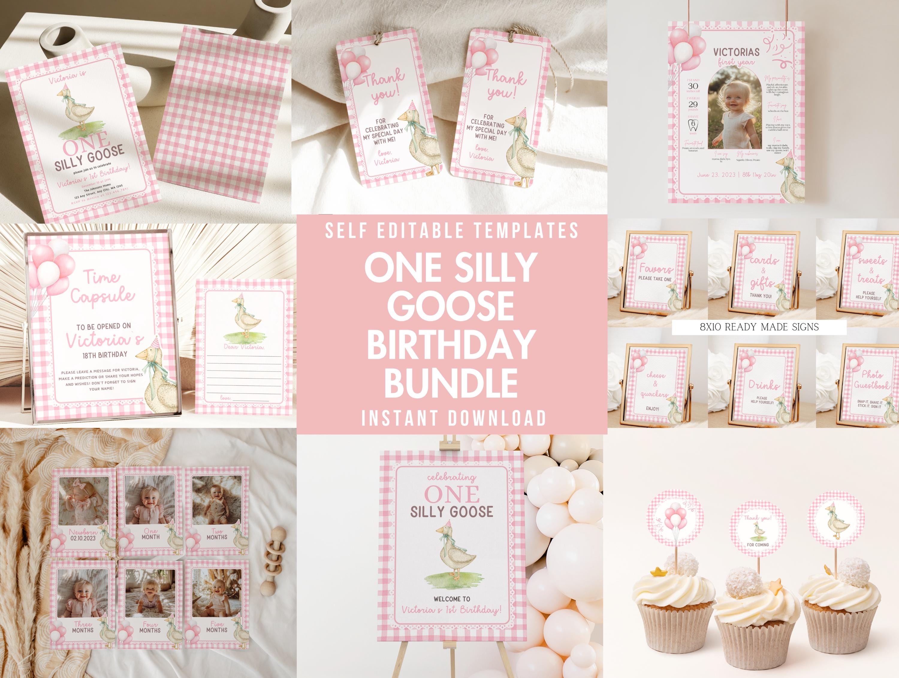 One Silly Goose First Birthday Bundle, Silly Goose Invite Digital First ...