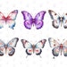 Watercolor Butterfly, Digital Printable Clip Art Graphics in PNG Format ...