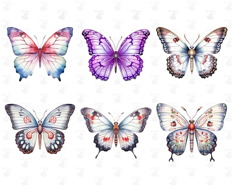 Watercolor Butterfly, Digital Printable Clip Art Graphics in PNG Format ...