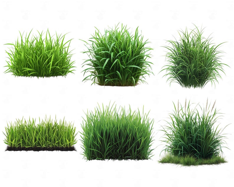 Grass Printable Clipart, Png Format, Transparent Background, Instant ...