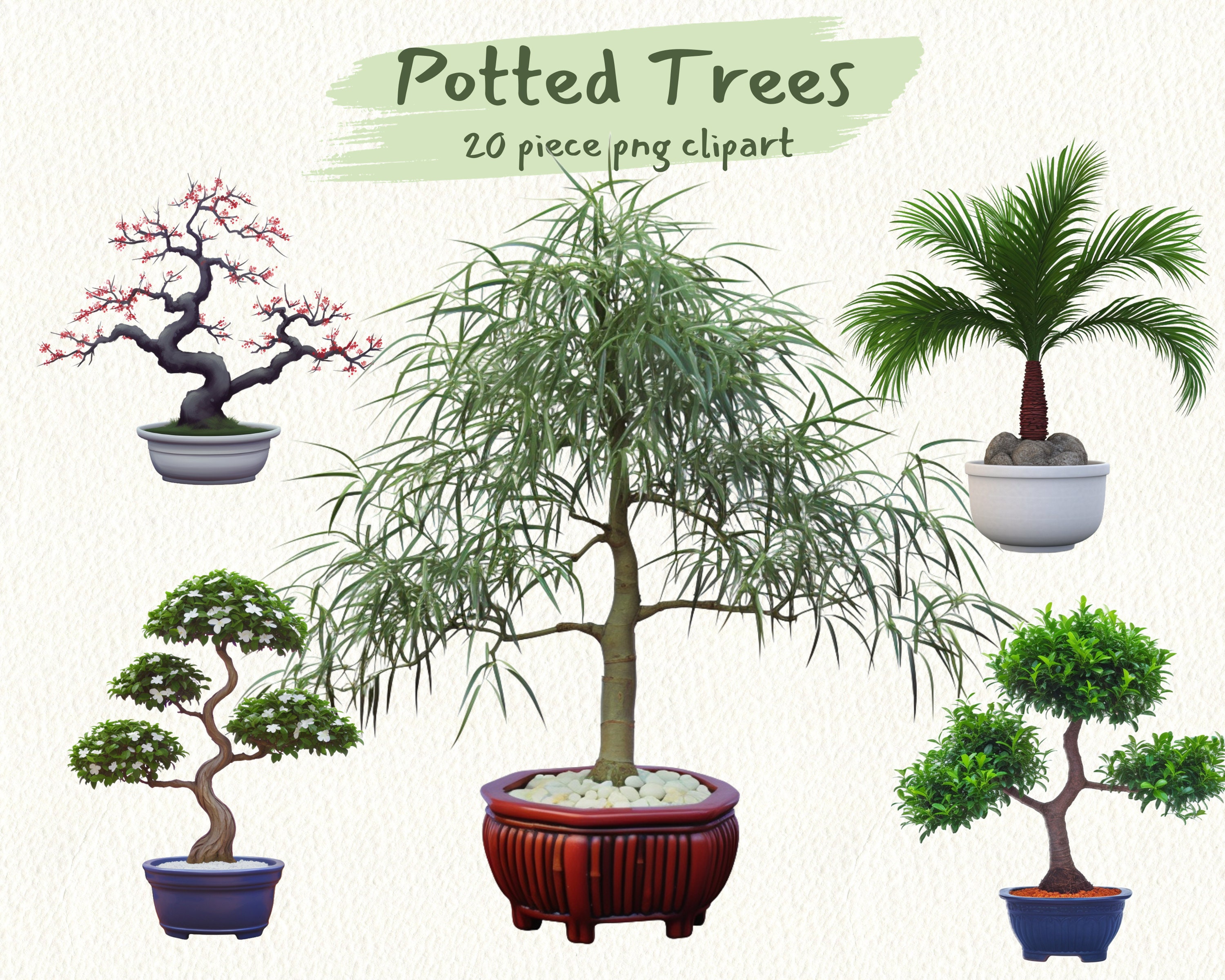 Potted Trees Digital Clipart Bundle in PNG Format Transparent ...