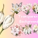 Life of Lily Digital Printable Clipart Bundle in PNG Format Transparent ...