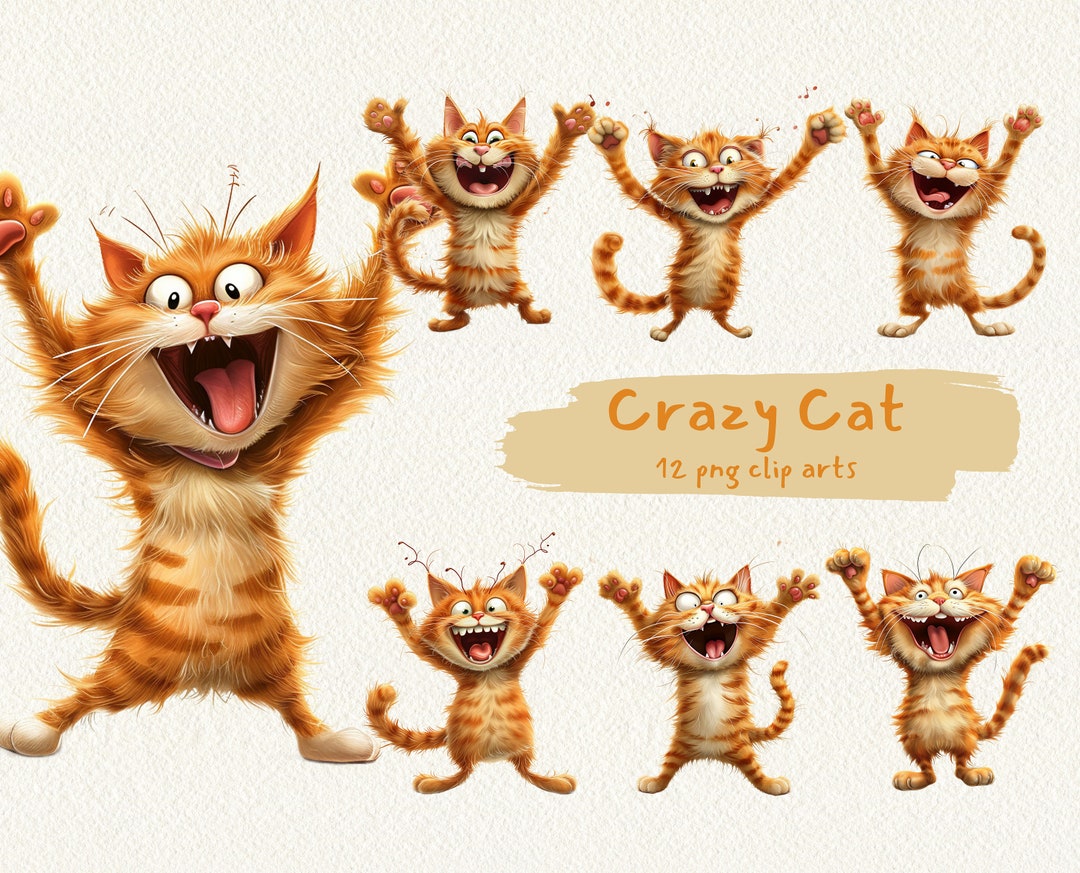 Crazy Cat Digital Printable Clipart Bundle in PNG Format Transparent ...