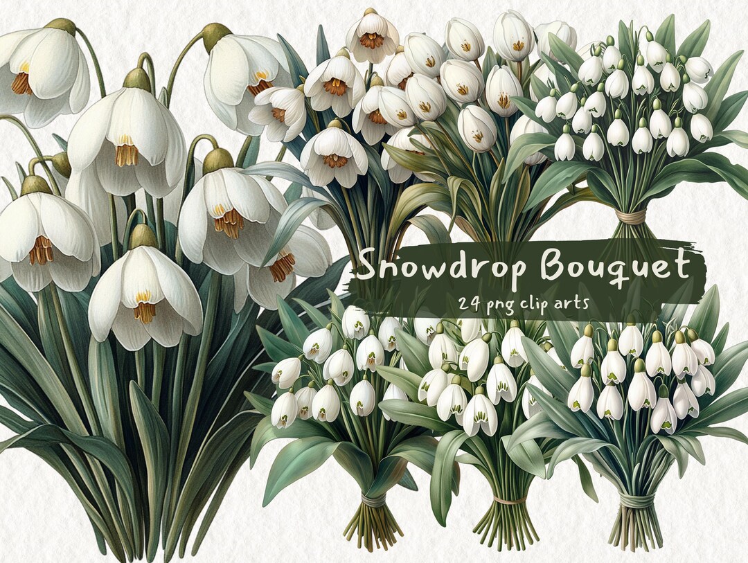 Snowdrop Bouquet Printable Clipart, Png Format, Transparent Background ...
