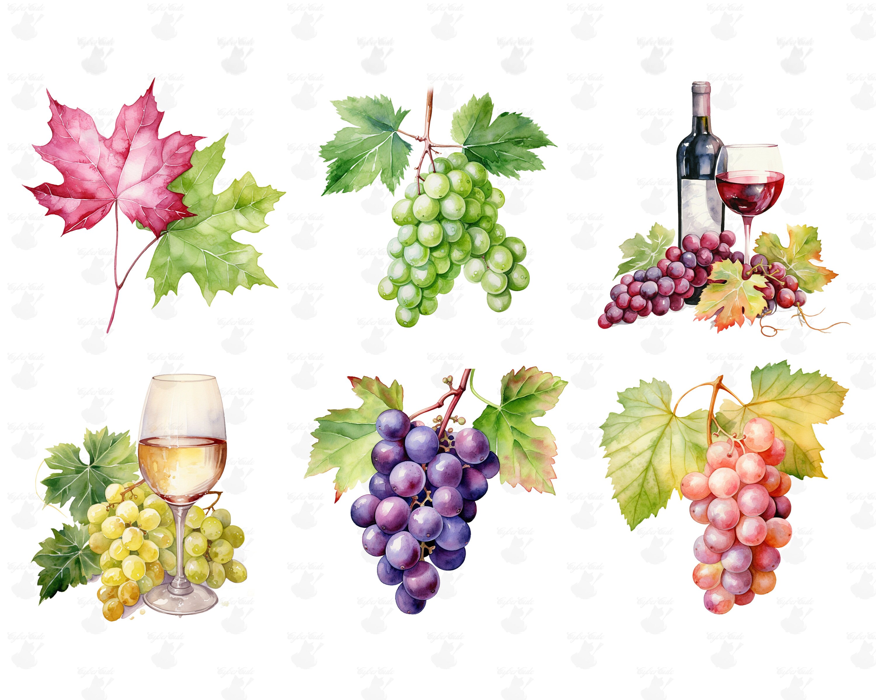 Watercolor Grape Digital Printable Clip Art Graphics in PNG - Etsy