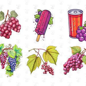 Doodle Grape Digital Printable Clipart Bundle in PNG Format Transparent ...