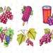 Doodle Grape Digital Printable Clipart Bundle in PNG Format Transparent ...