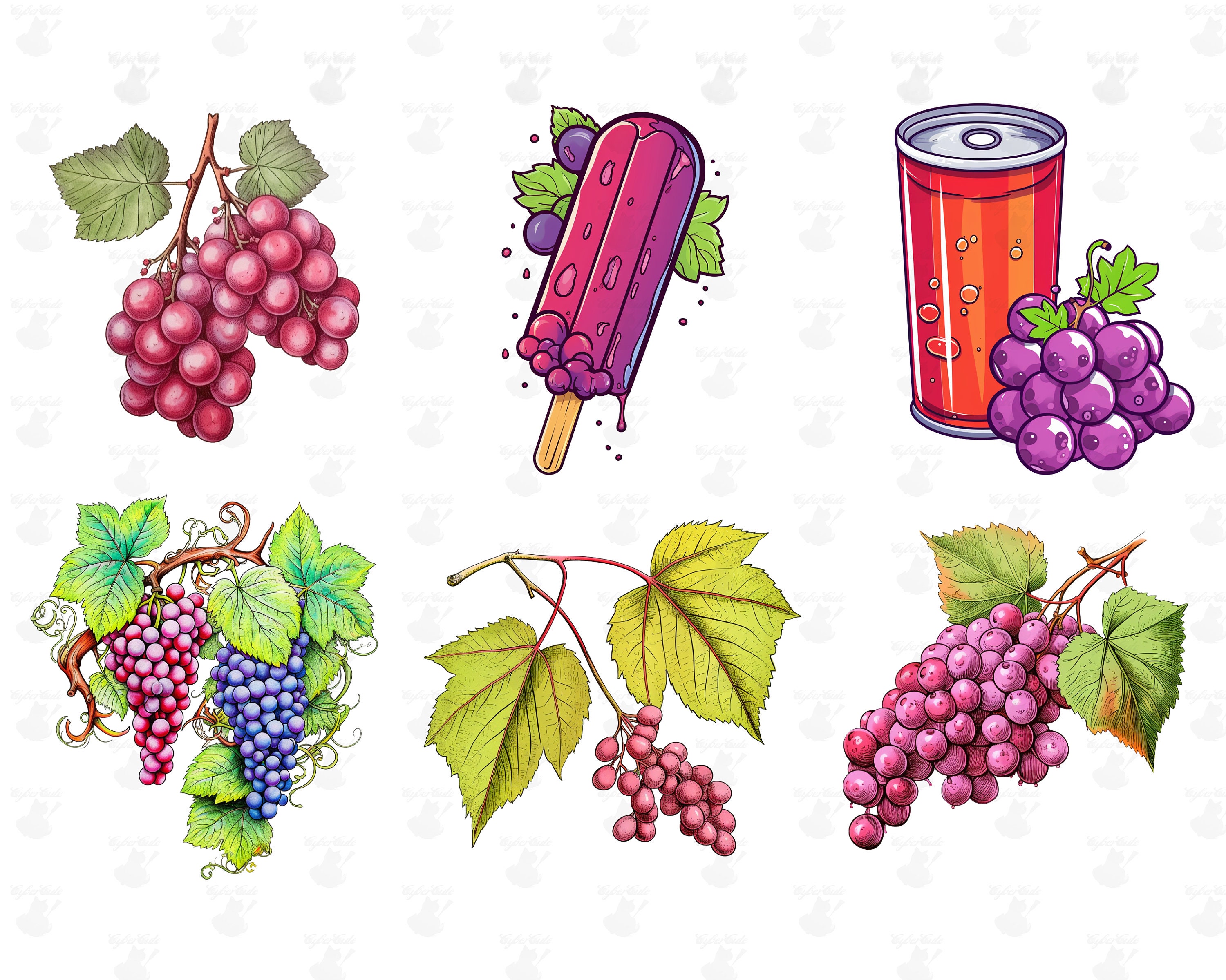Doodle Grape Digital Printable Clipart Bundle in PNG Format Transparent ...