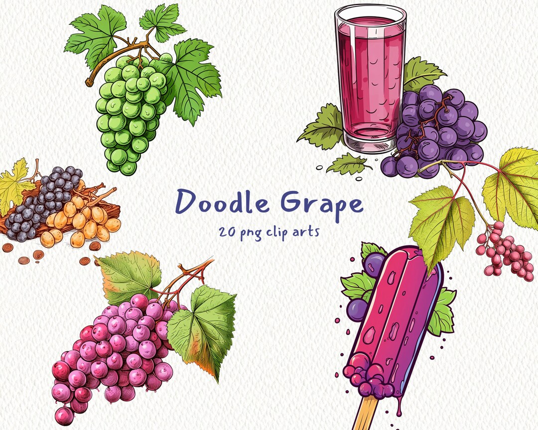 Doodle Grape Digital Printable Clipart Bundle in PNG Format Transparent ...