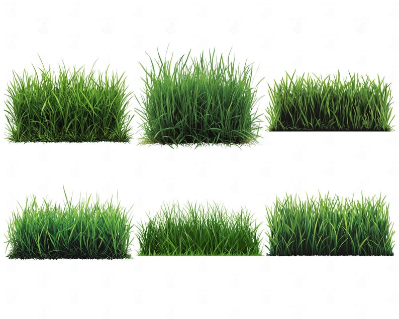 Grass Printable Clipart, Png Format, Transparent Background, Instant ...