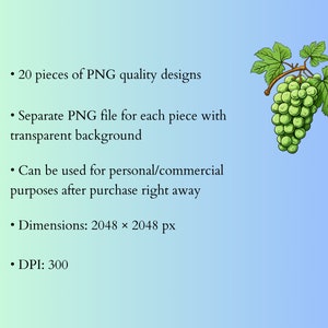 Doodle Grape Digital Printable Clipart Bundle in PNG Format Transparent ...