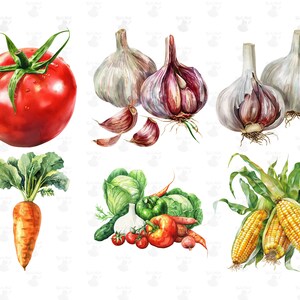 Fruits Vegetables Printable Clipart, Png Format, Transparent Background ...