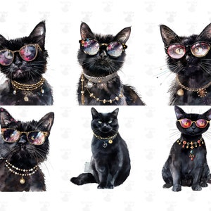 Dat Cool Cat Digital Printable Clipart Bundle in PNG Format Transparent ...