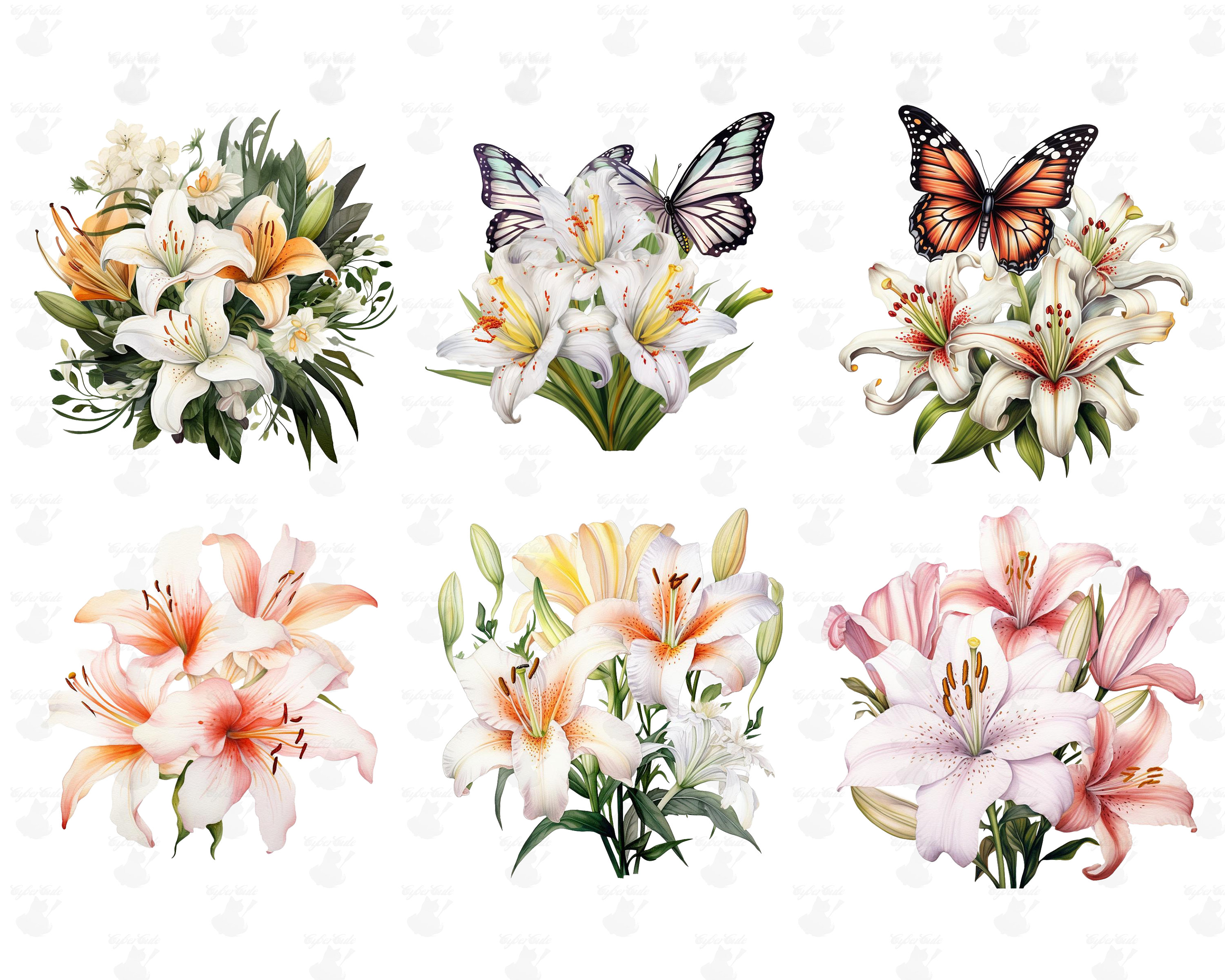 Life of Lily Digital Printable Clipart Bundle in PNG Format Transparent ...