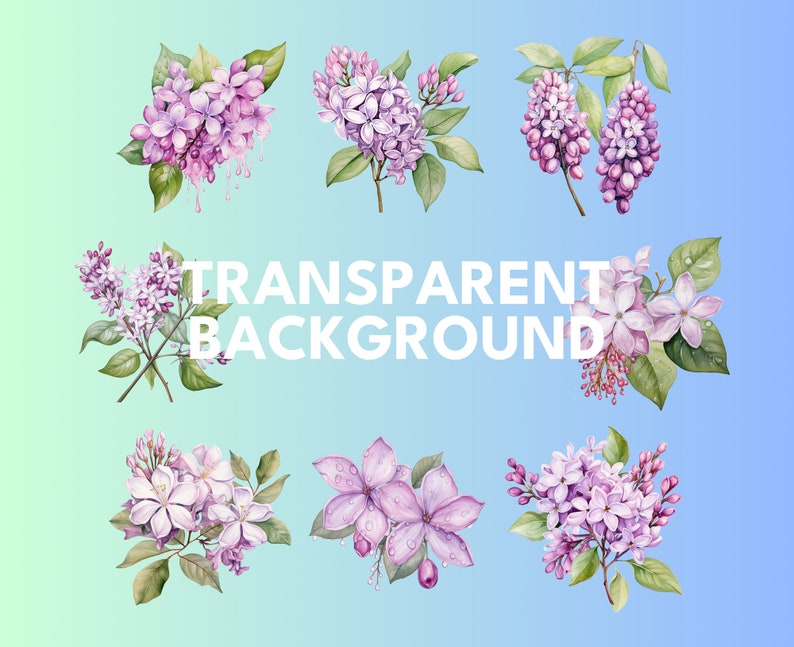 Life of Lilac, Digital Printable Clip Art Graphics in PNG Format ...