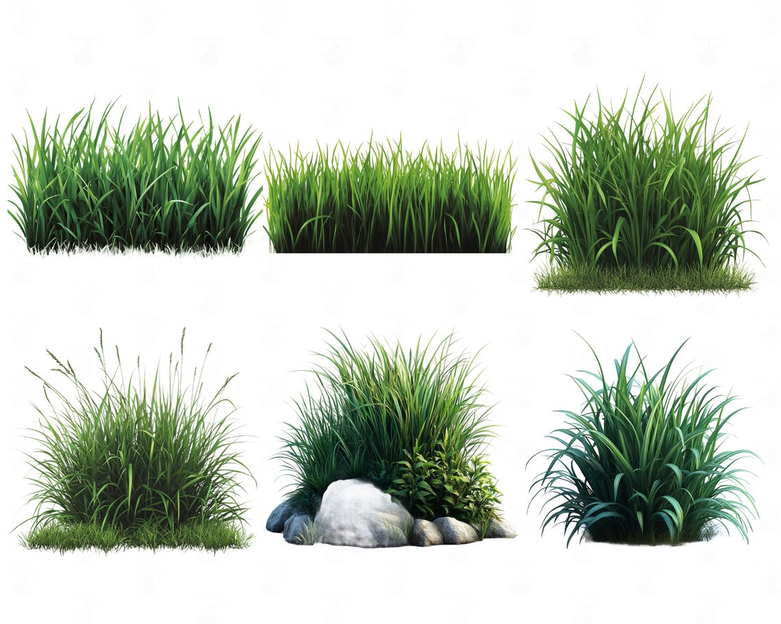 Grass Printable Clipart, Png Format, Transparent Background, Instant ...