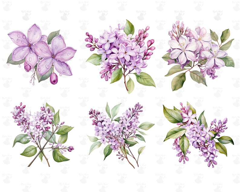 Life of Lilac, Digital Printable Clip Art Graphics in PNG Format ...