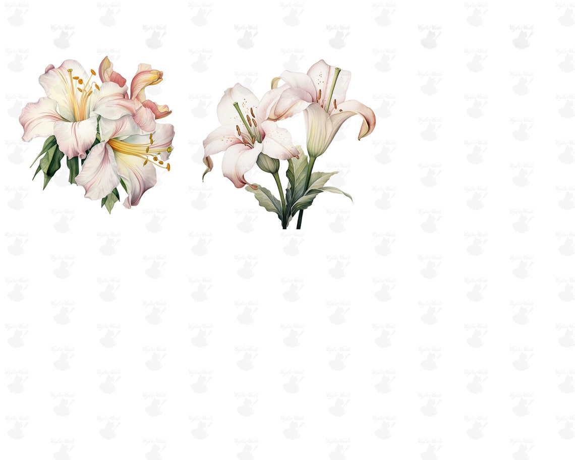 Life of Lily Digital Printable Clipart Bundle in PNG Format Transparent ...