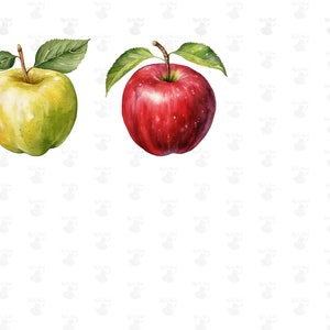 Watercolor Apple, Digital Printable Clip Art Graphics in PNG Format ...