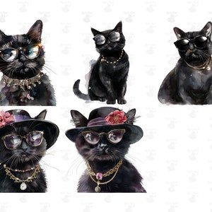 Dat Cool Cat Digital Printable Clipart Bundle in PNG Format Transparent ...