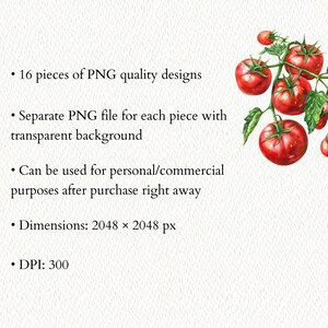 Watercolor Vegetables Printable Clipart, Png Format, Transparent ...