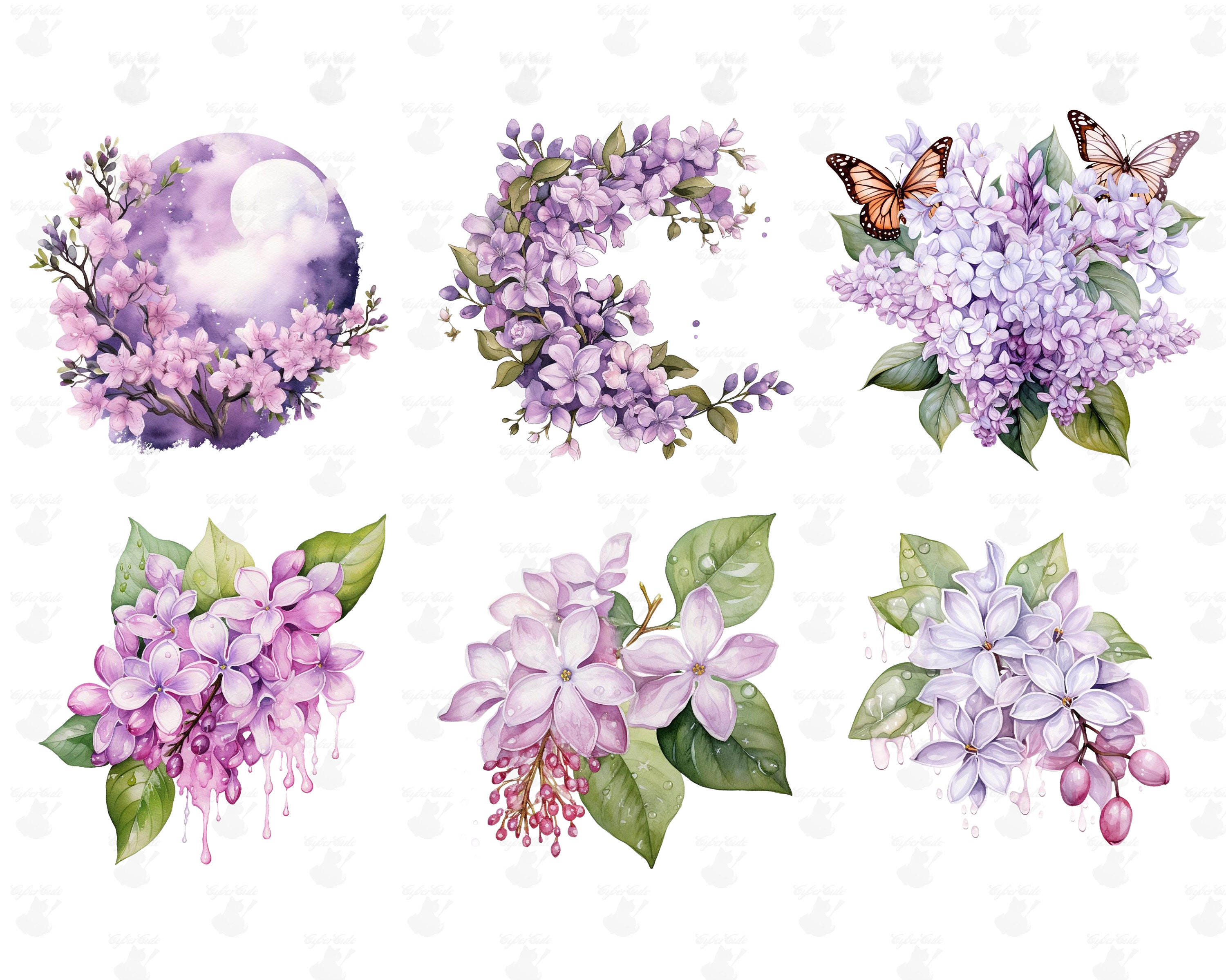 Life of Lilac, Digital Printable Clip Art Graphics in PNG Format ...